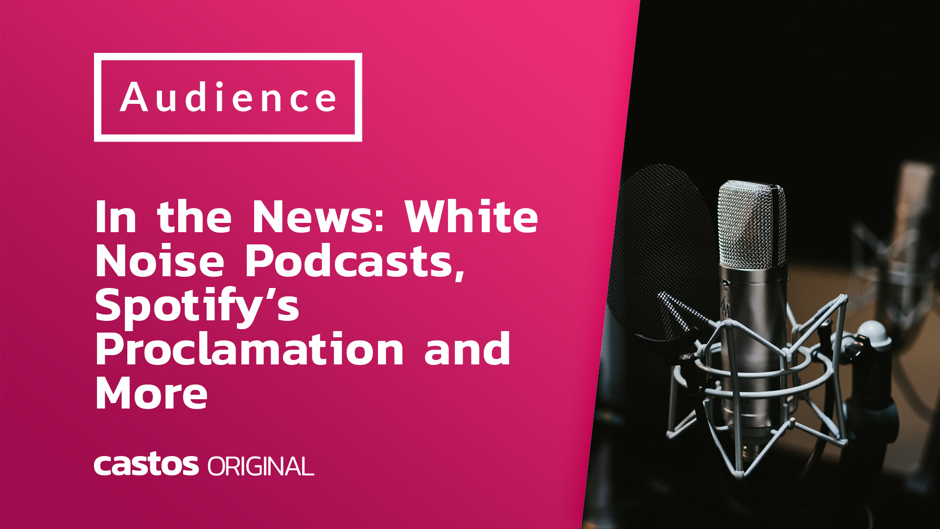 In the News: White Noise Podcasts, Spotify’s Proclamation and More | Castos