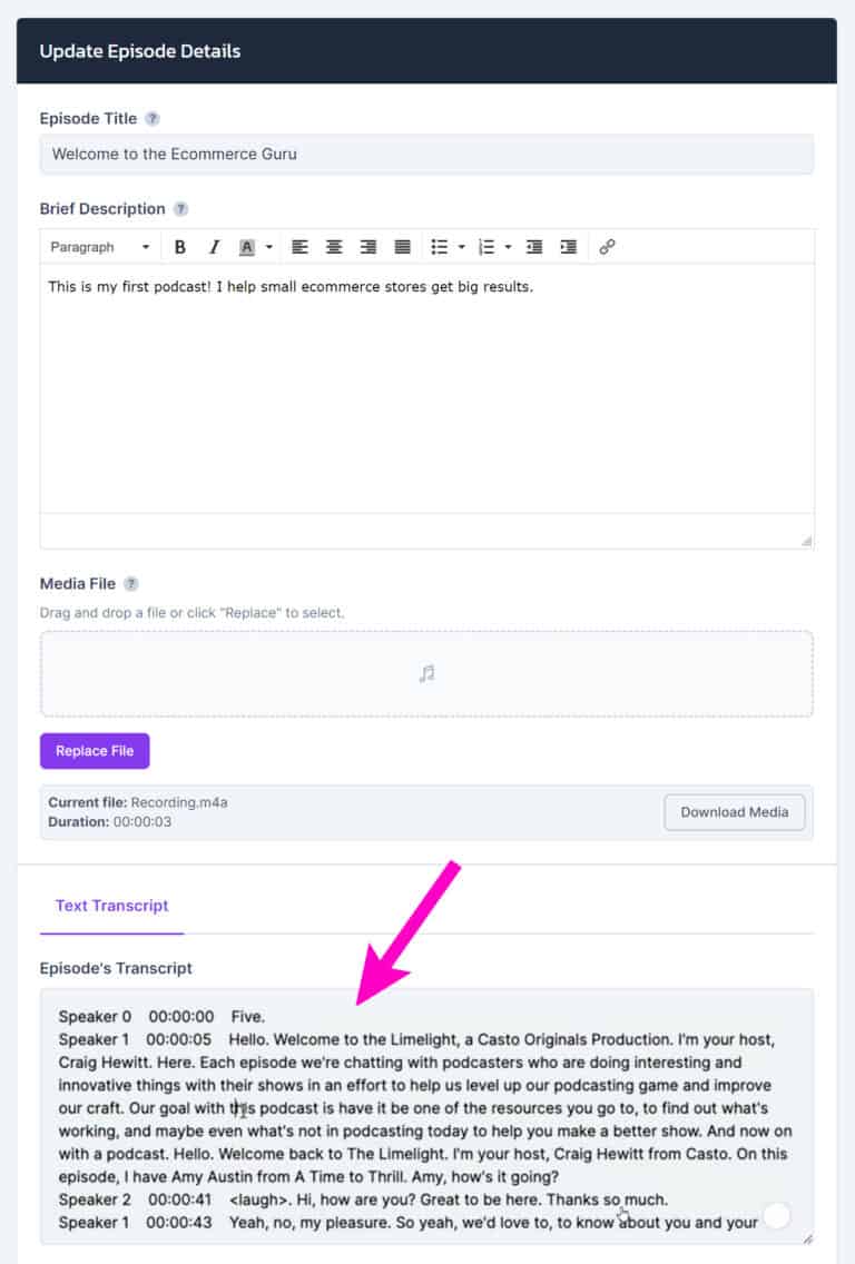 AI In Podcasting: 8 ChatGPT Prompts to Create Better Podcast Content | Castos